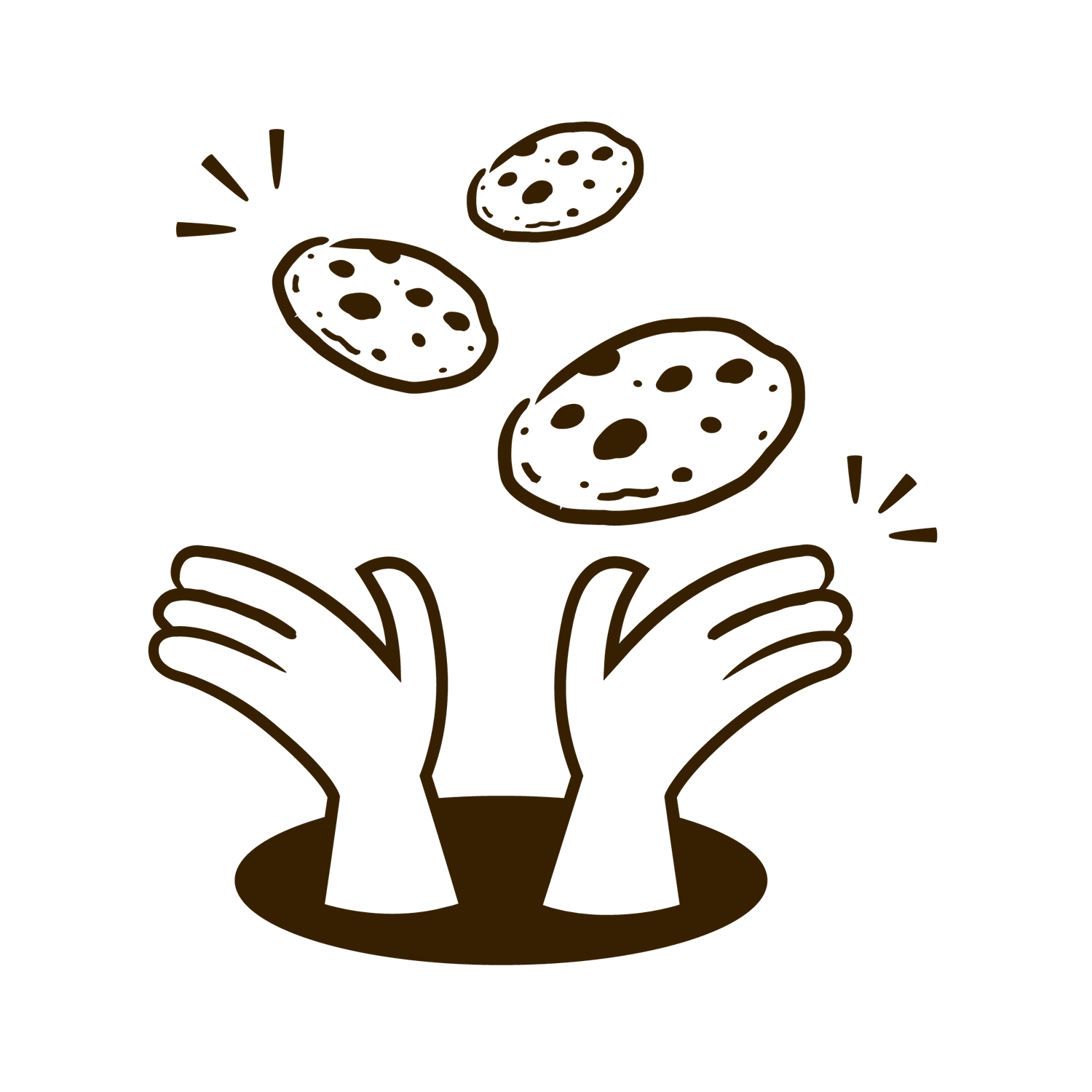 EM'S Soft Chunky Cookies – EM'S Cookies